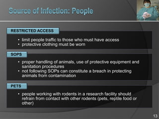 Stat Arb Performance | PDF