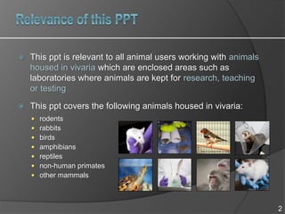 Stat Arb Performance | PDF