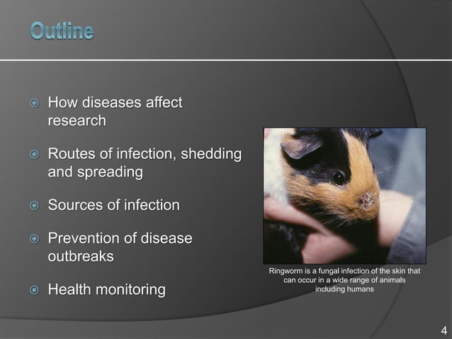 Stat Arb Performance | PDF | Infectious Diseases | Diseases and Conditions