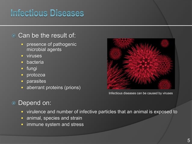 Stat Arb Performance | PDF | Infectious Diseases | Diseases and Conditions