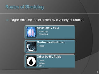 Stat Arb Performance | PDF