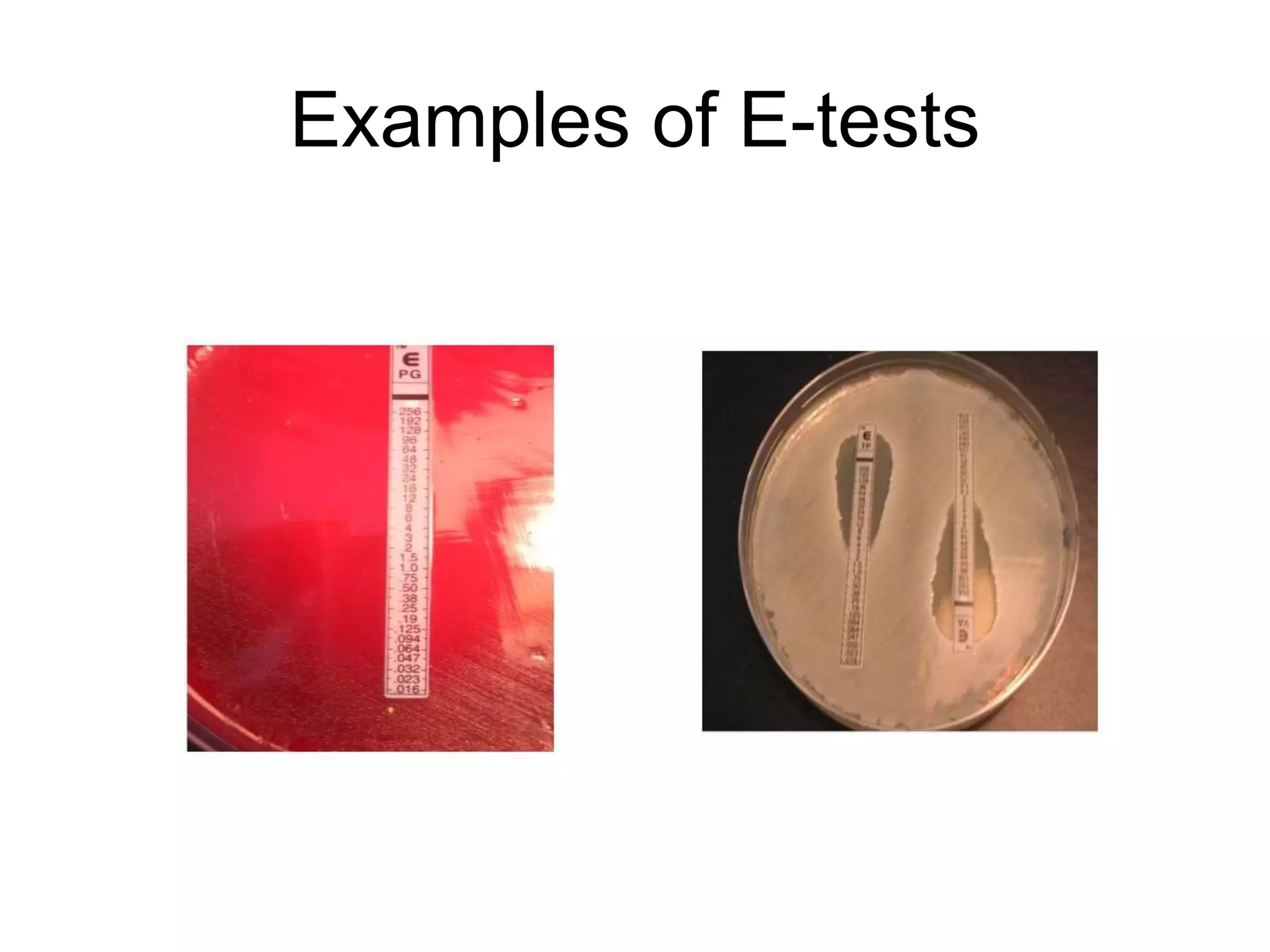 Lab aspects antimicrobial chemotherapy 03 | PPT
