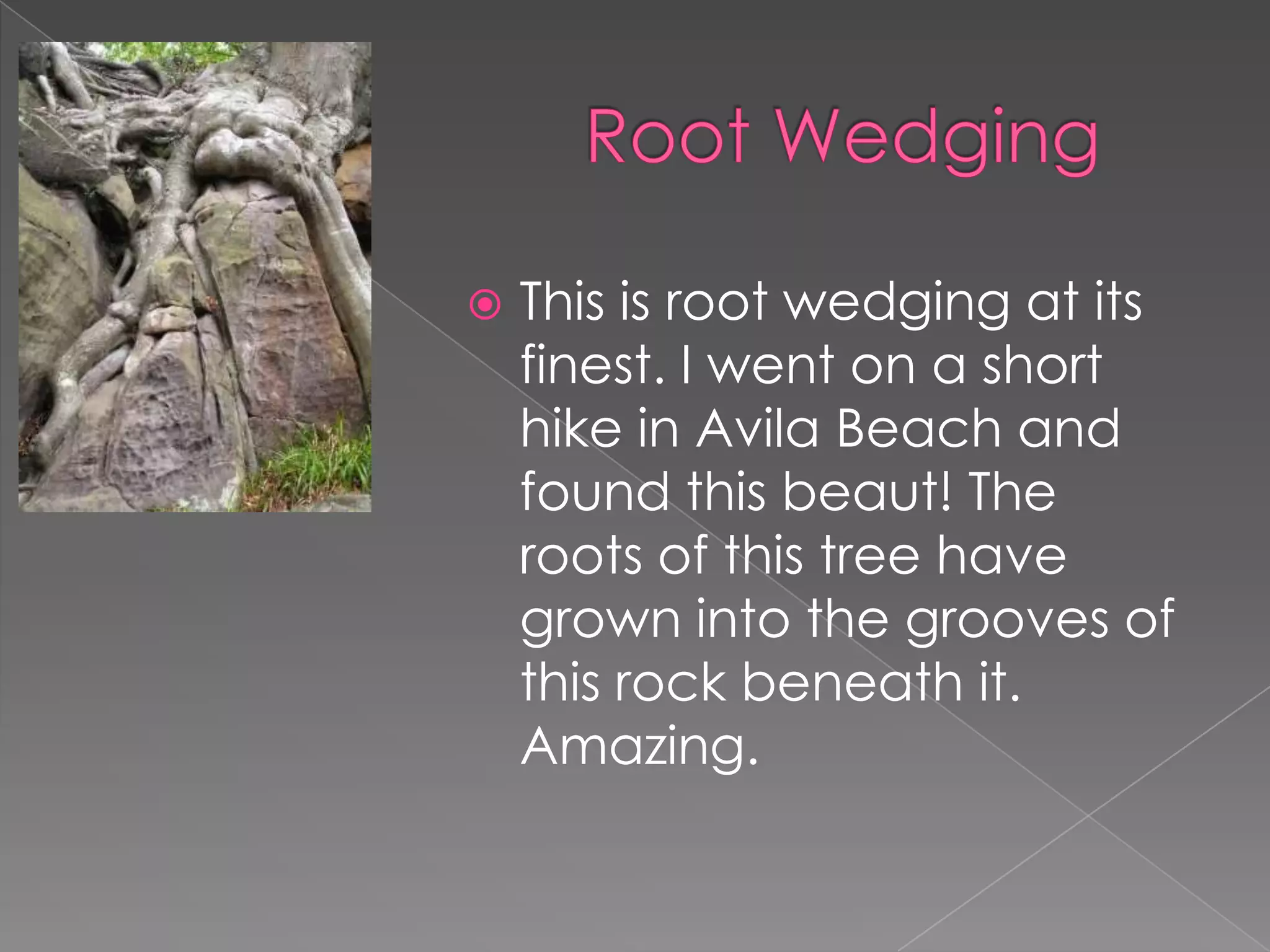 Lab assignment part II | PPTX