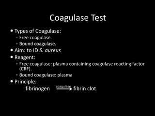 Lab biochem. id and ast | PPT