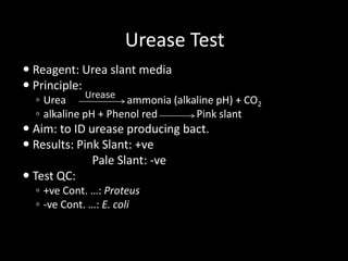 Lab biochem. id and ast | PPT