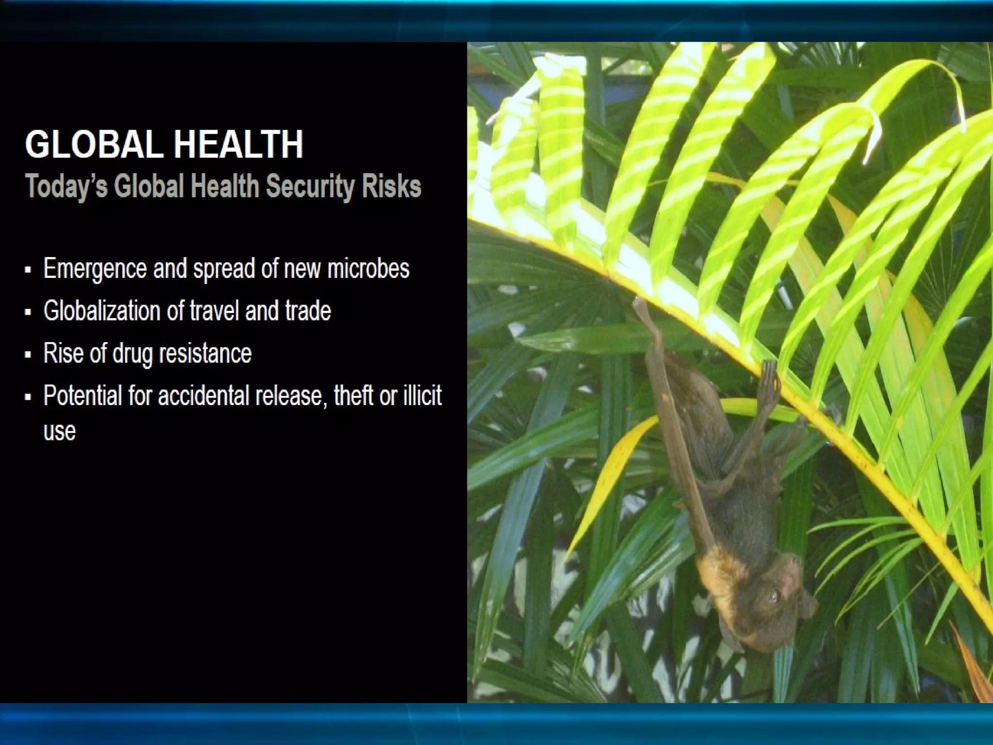 Lab biosafety and biosecurity | PPT