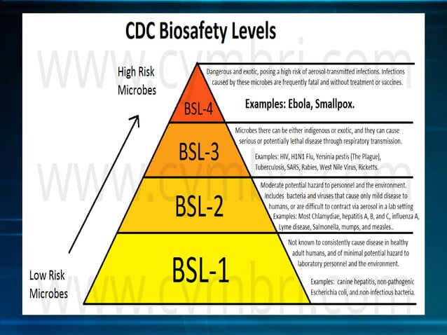 Lab biosafety and biosecurity | PPT | Infectious Diseases | Diseases ...