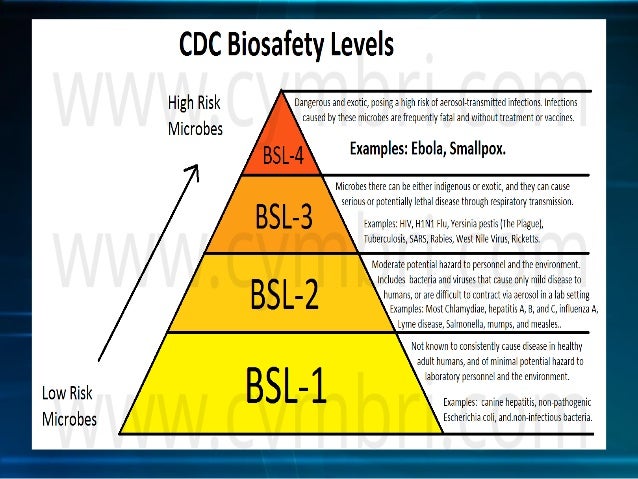 Lab biosafety and biosecurity