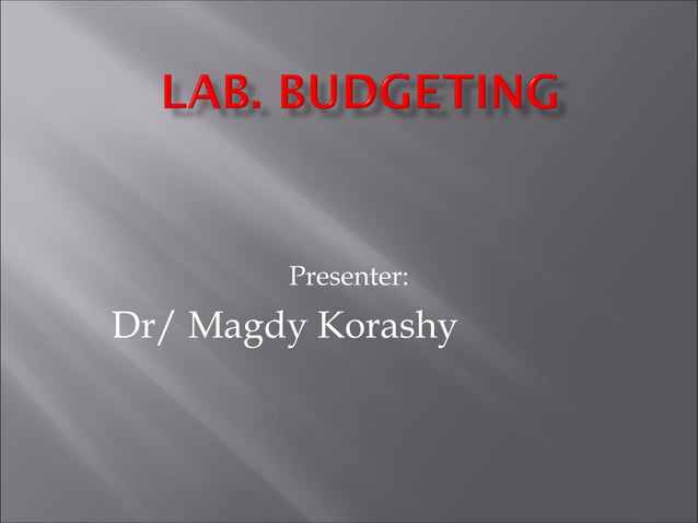 Lab budget | PPT | Business | Business and Finance