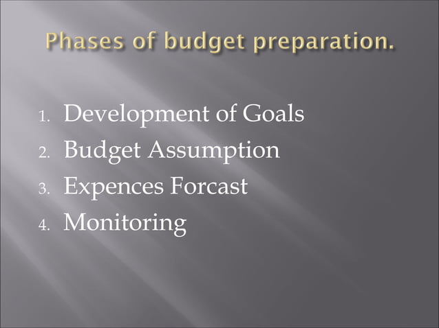 Lab budget | PPT | Business | Business and Finance