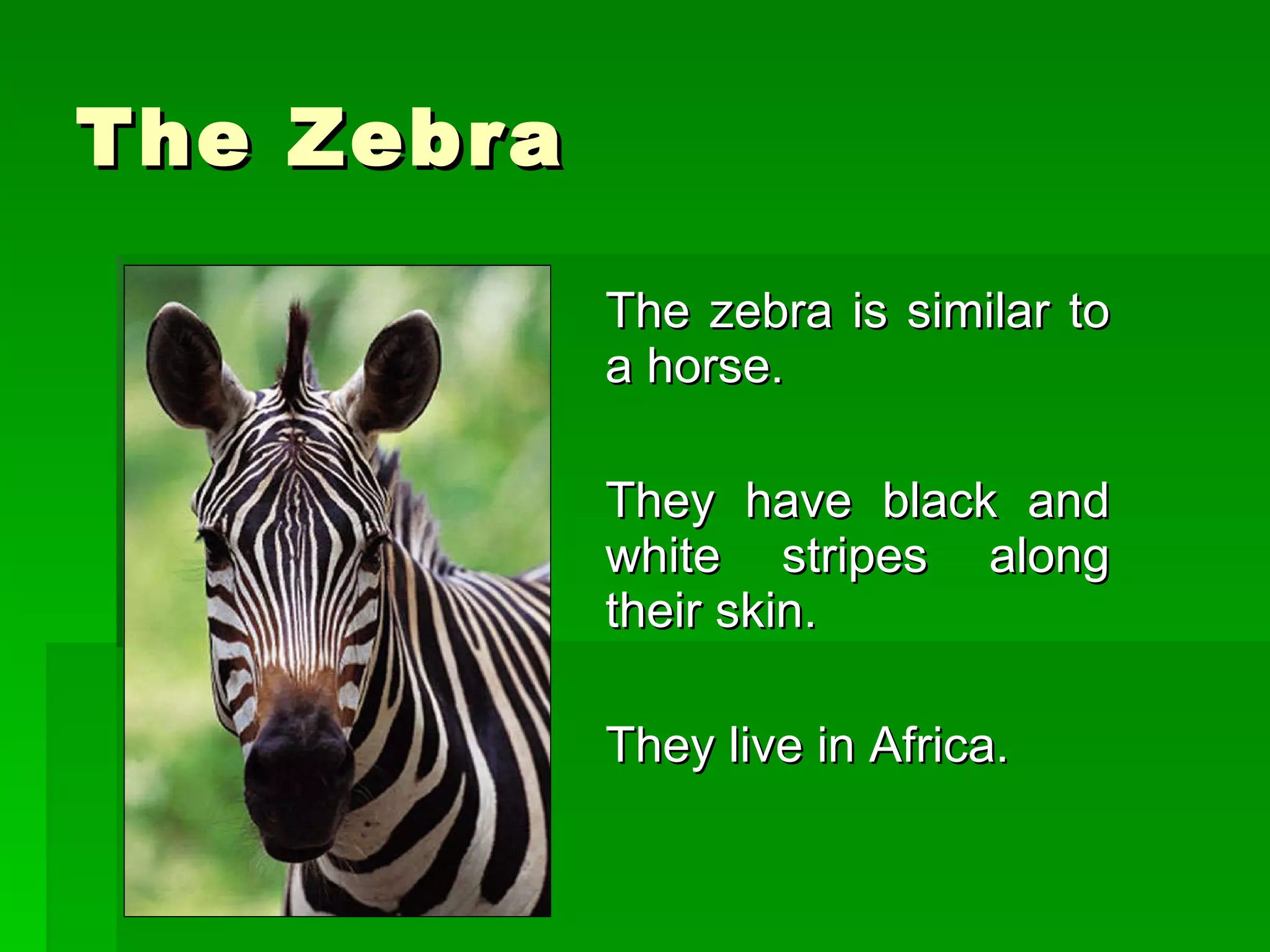 At The Zoo - Animals | PPT
