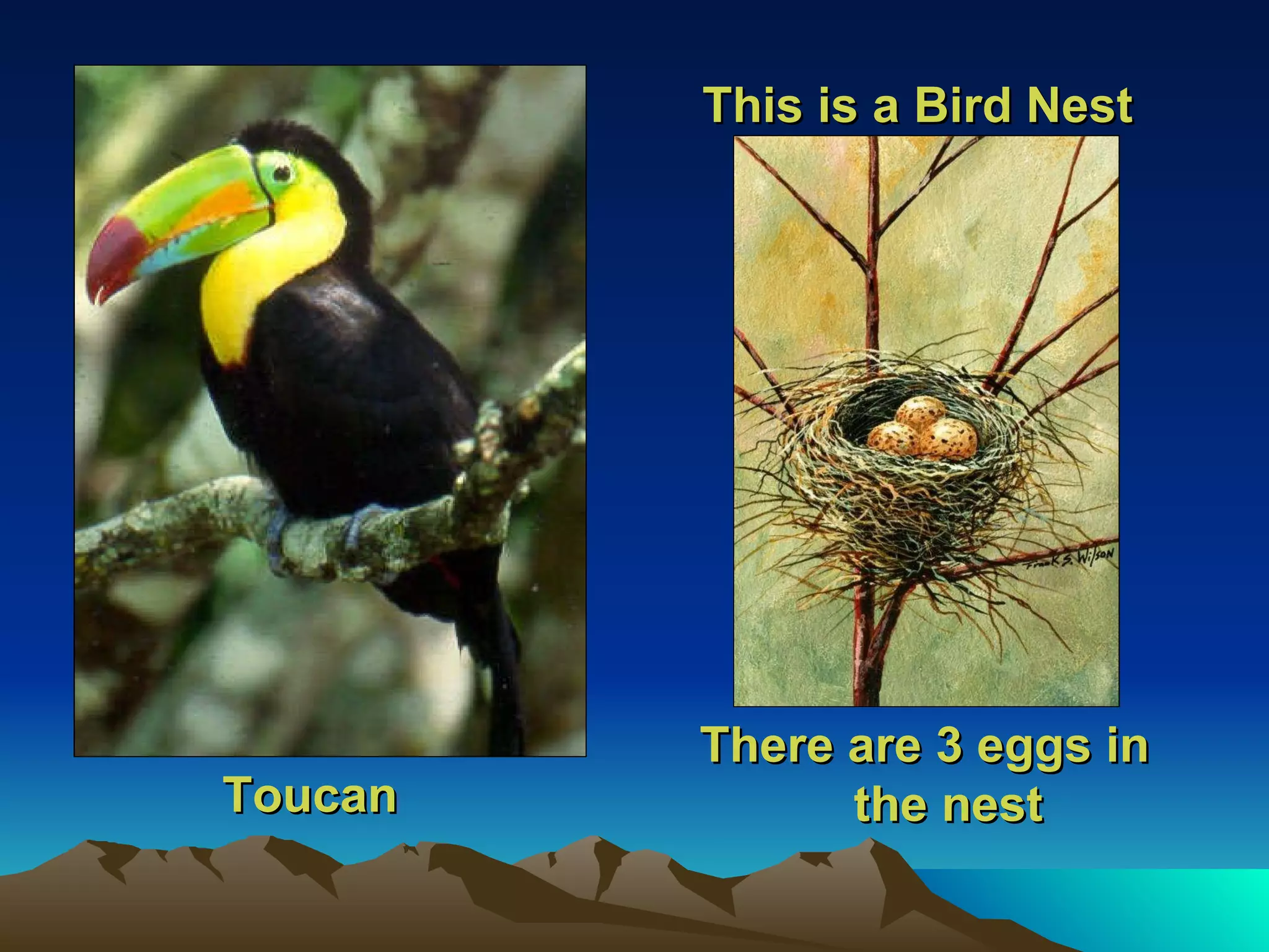 At The Zoo - Animals | PPT