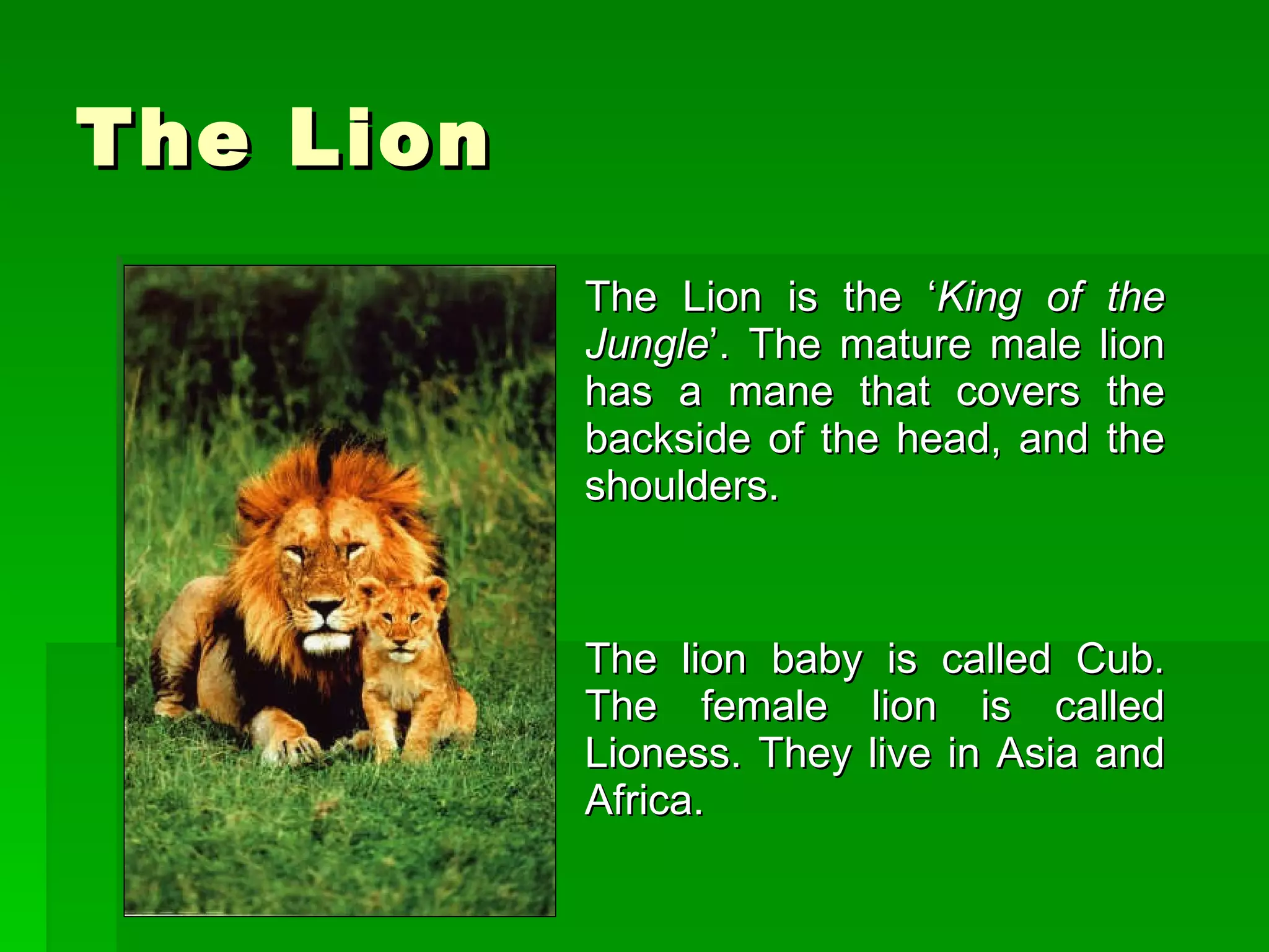 At The Zoo - Animals | PPT