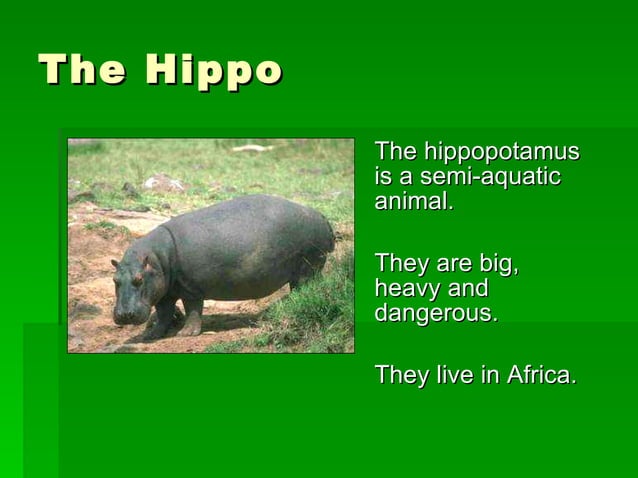 At The Zoo - Animals | PPT
