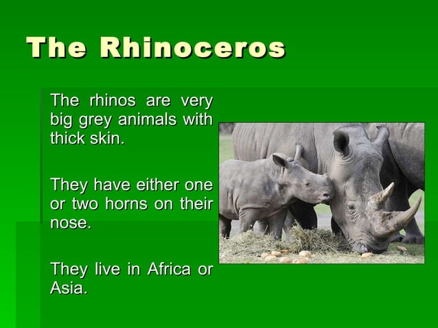 At The Zoo - Animals | PPT