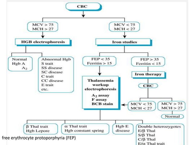 LabORATORY daigonosis thalassemia Chirantan Man | PPT