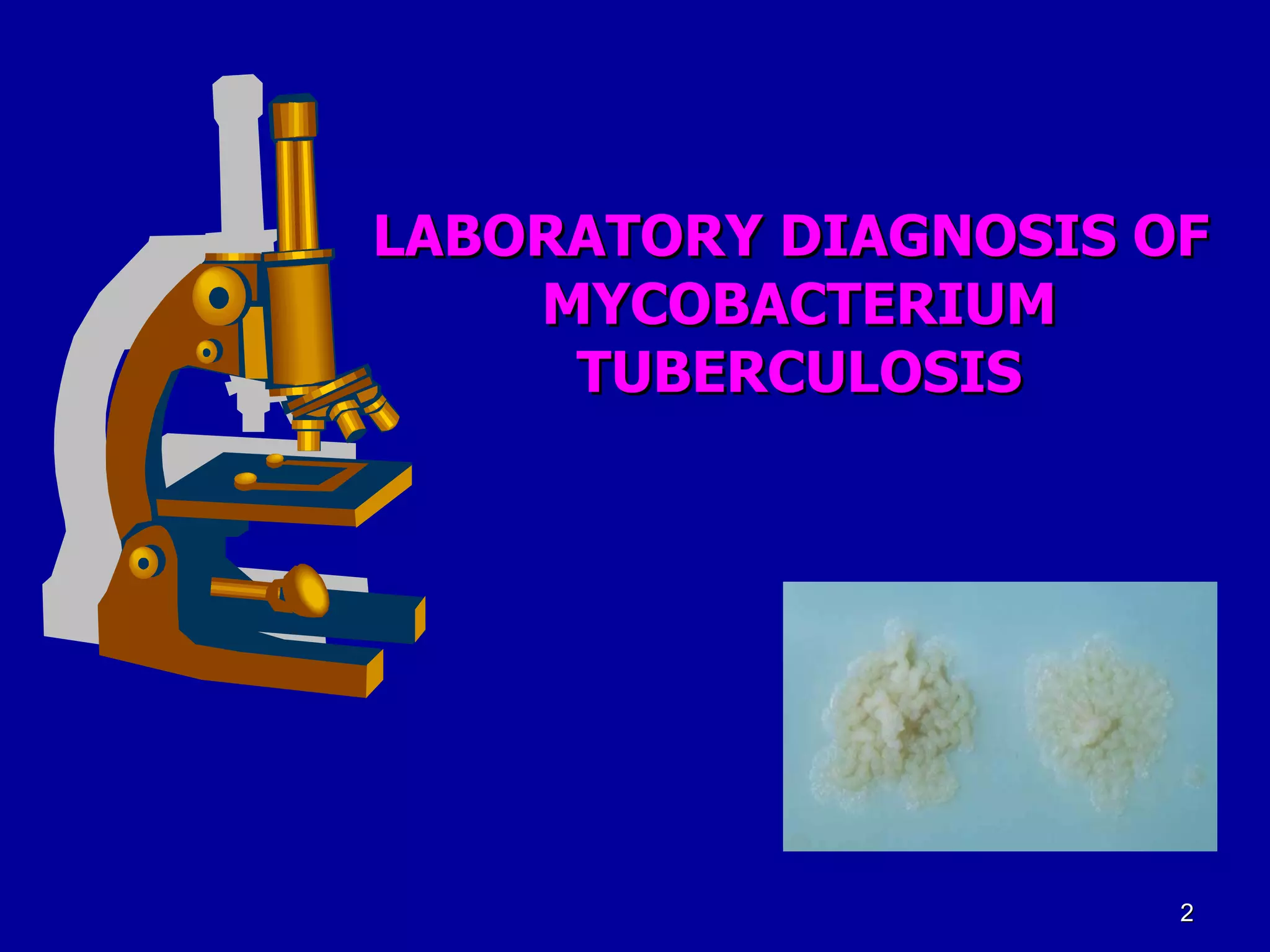 Lab diag. tb | PPT