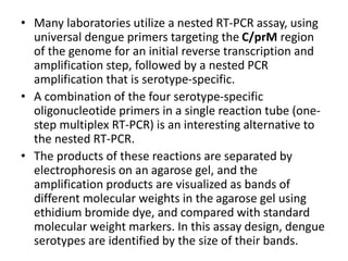 Lab diagnosis of Dengue | PPTX