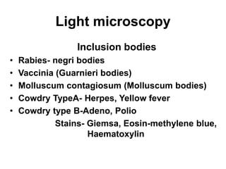 Lab diagnosis-viruses.ppt