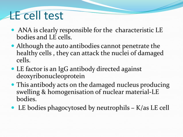 Lab diagnosis autoimmune disease | PPTX | Blood Disorders | Diseases ...