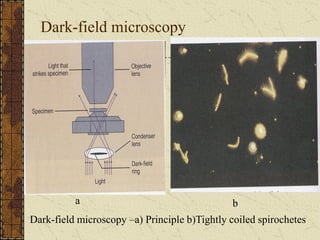Lab diagnosis of infectious disease | PDF