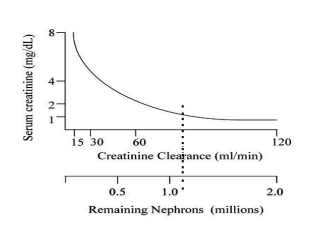 Lab diagnosis in renal diseases | PPTX | Endocrine and Metabolic ...