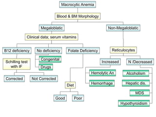 Laboratory Diagnosis and approachof Anemia.ppt