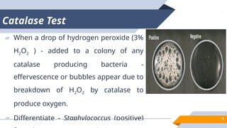 Lab diagnosis of bacterial infection pptx | PPTX