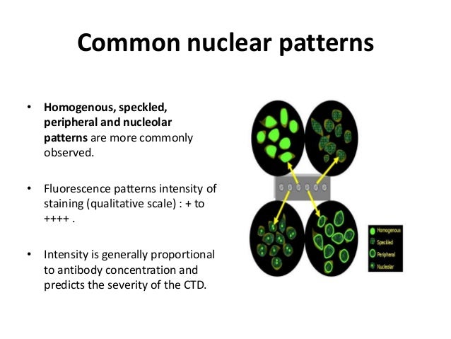 Lab diagnosis of ctd By Dr Arif Iqbal MD Dermatology UCMS & GTBH