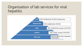 Lab diagnosis of hepatitis | PPTX