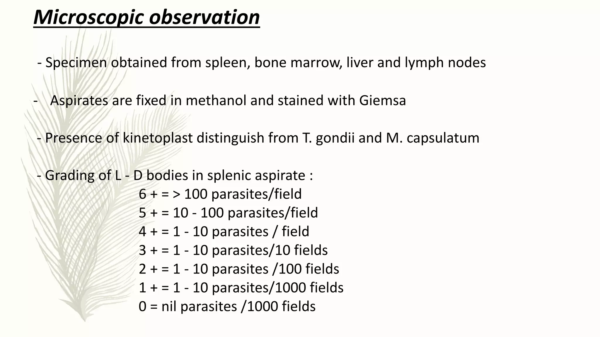 Lab diagnosis of leishmaniasis | PPTX