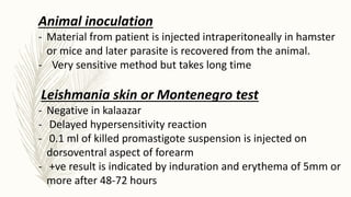 Lab diagnosis of leishmaniasis | PPTX