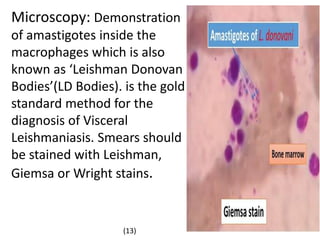LAB DIAGNOSIS OF LEISHMANIASIS.pptx