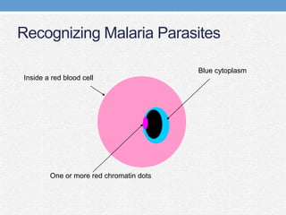 Lab diagnosis of malaria | PPSX