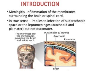 lab diagnosis of meningitis.pptx