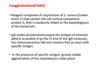 lab diagnosis of meningitis.pptx