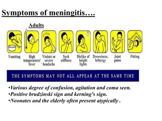 lab diagnosis of meningitis.pptx | Infectious Diseases | Diseases and ...