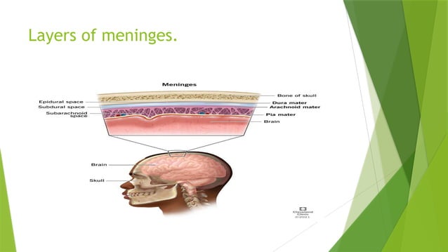 Meningitis, Types , causes ,symptoms and Diagnosis of Meningitis.pptx