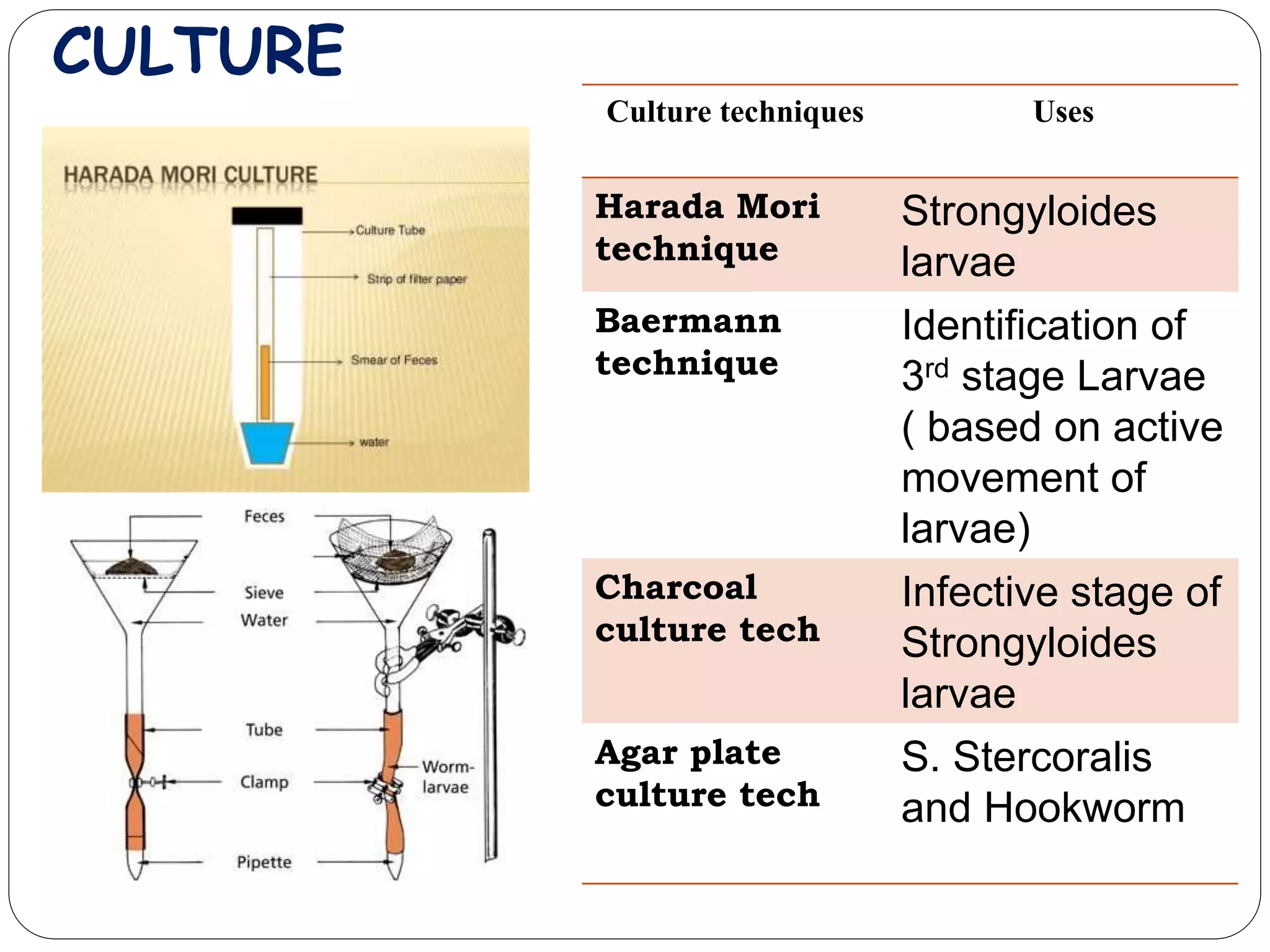 LAB DIAGNOSIS OF PARASITIC INFECTION.pptx