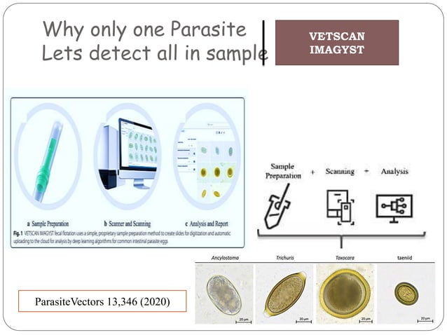 LAB DIAGNOSIS OF PARASITIC INFECTION.pptx
