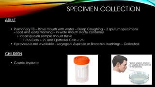 Lab diagnosis,investigations of pulmonary tuberculosis | PPT