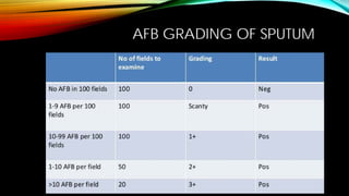 Lab diagnosis,investigations of pulmonary tuberculosis | PPT