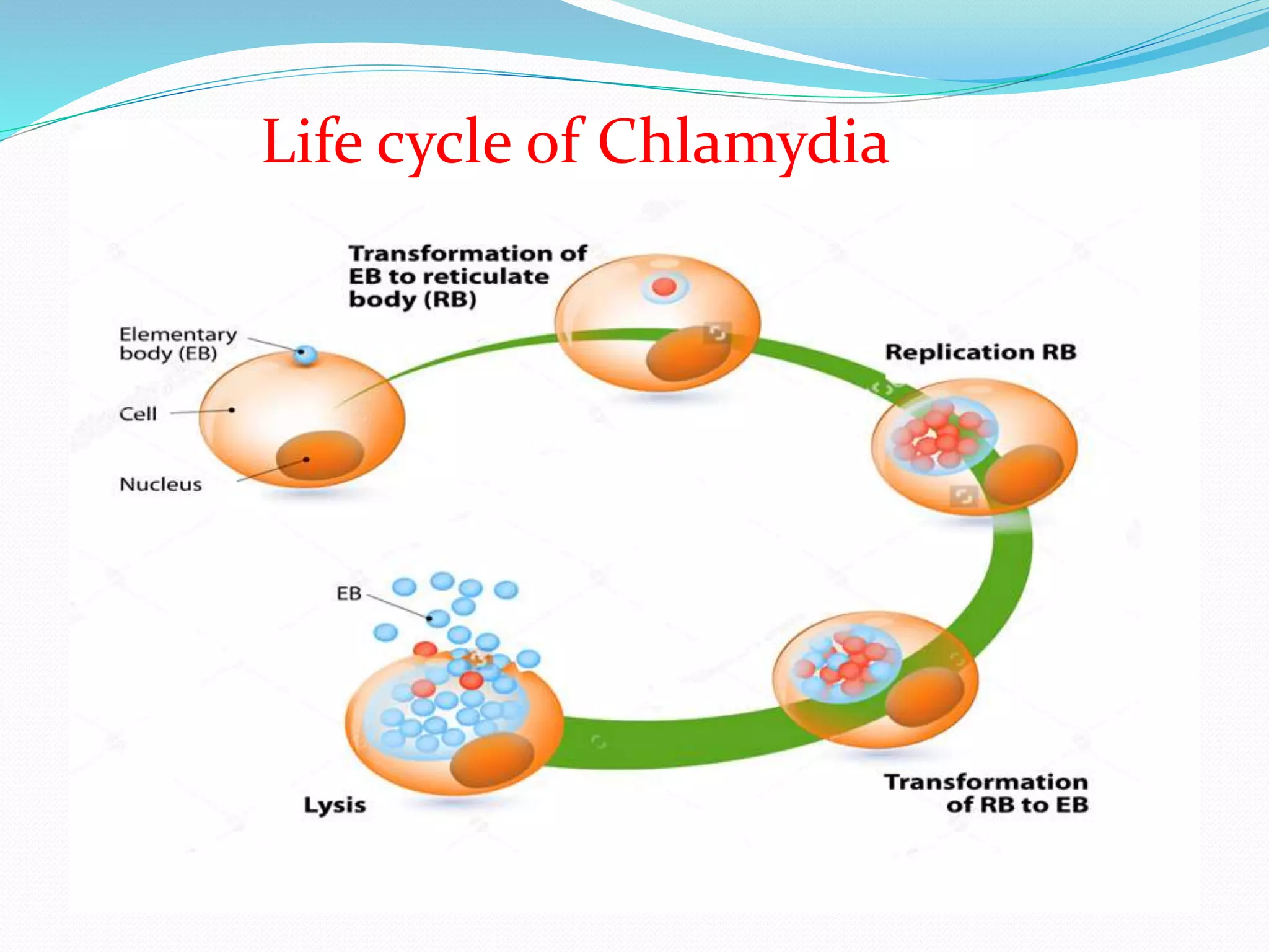 Lab diagnosis of Sexually transmitted Infections (STIs) | PPTX