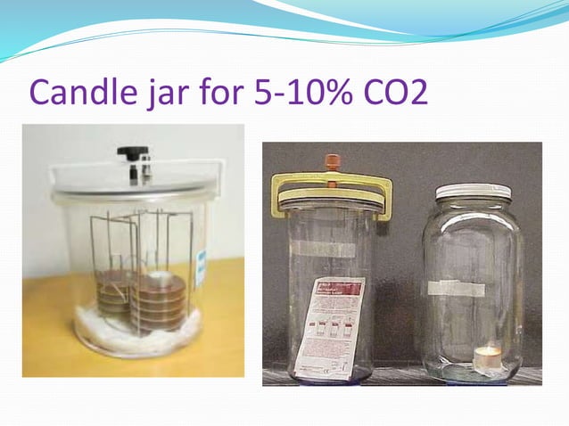 Lab diagnosis of Sexually transmitted Infections (STIs) | PPTX