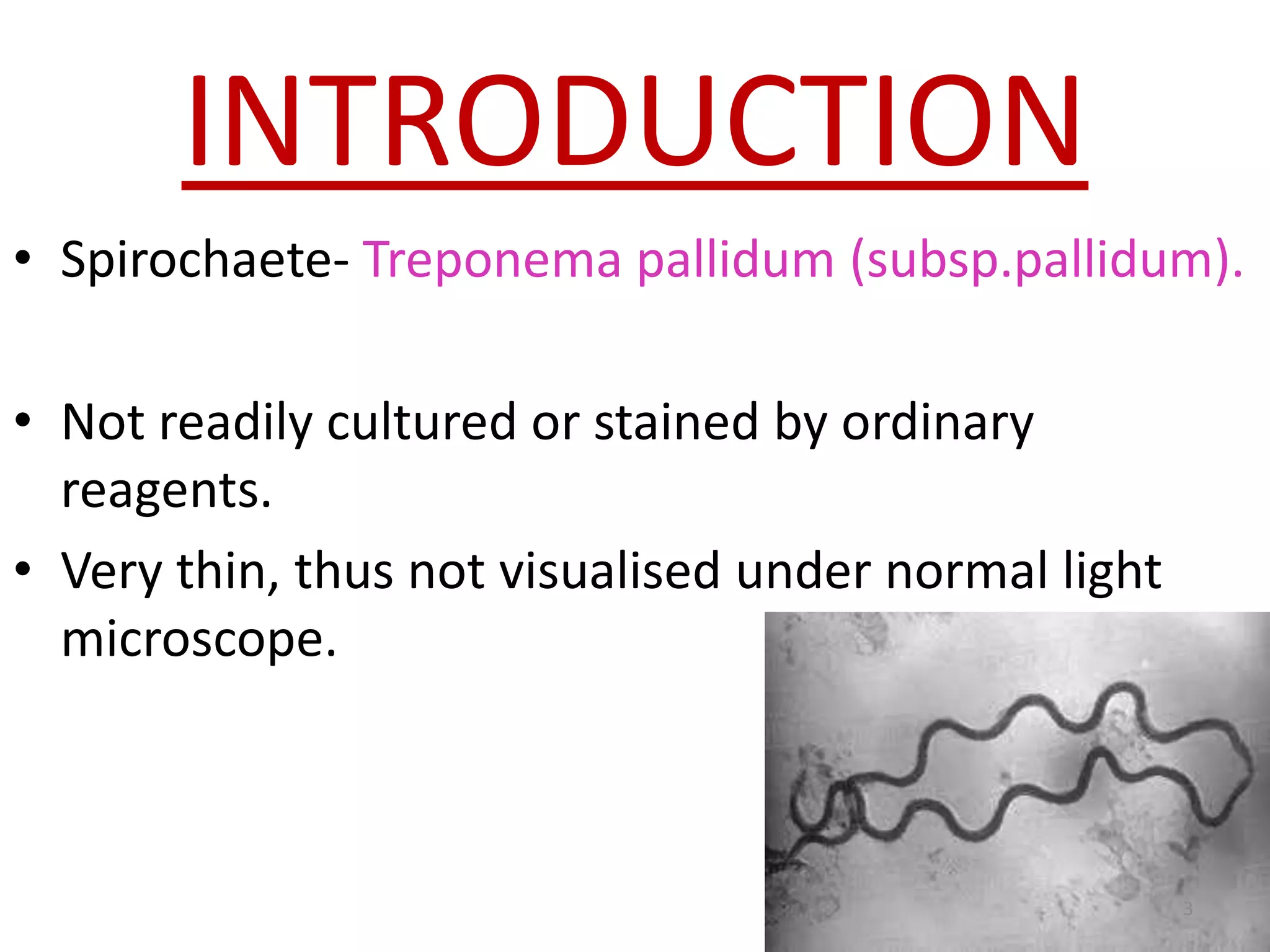 LAB DIAGNOSIS OF SYPHILIS.pptx