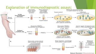 Lab diagnosis of tb dr mostafa lecture | PPTX