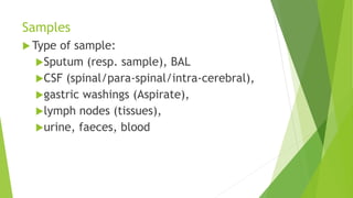 Lab diagnosis of tb dr mostafa lecture | PPTX
