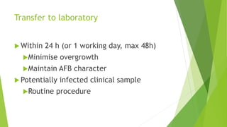 Lab diagnosis of tb dr mostafa lecture | PPTX