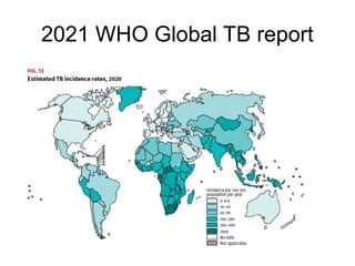 laboratory diagnosis of tuberculosis 2022 | PPT