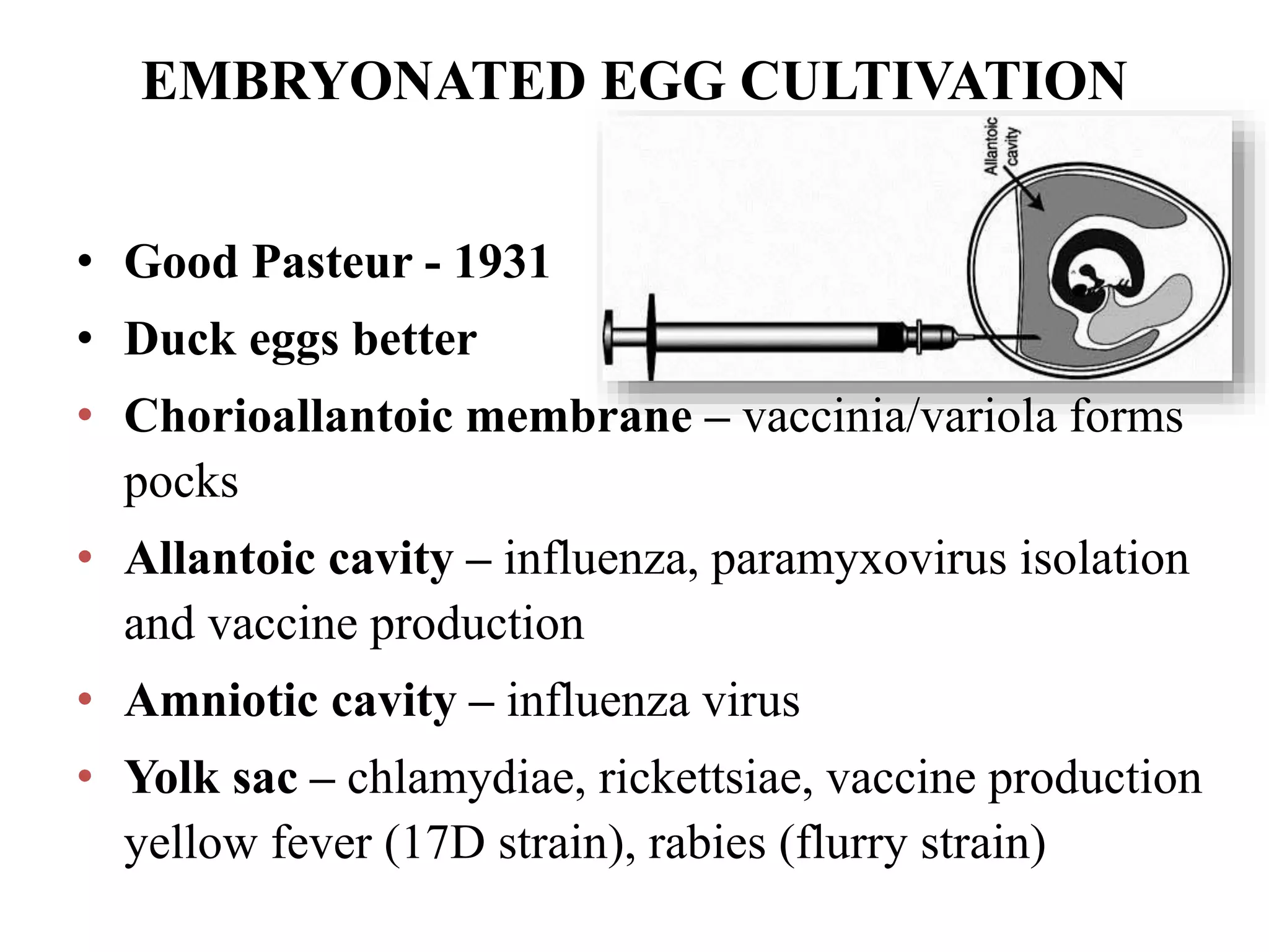 Lab diagnosis of viral infections | PPTX